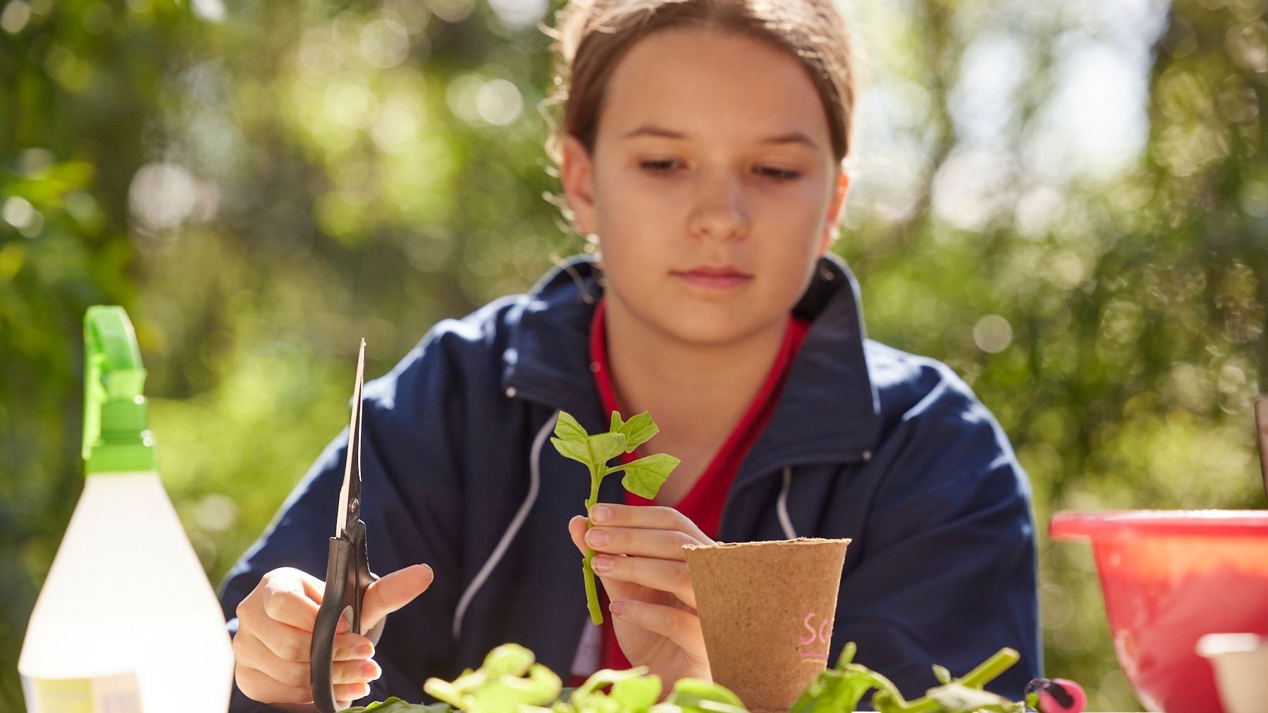 Poem Forest | New Australian poetry, contemporary Australian writers ...