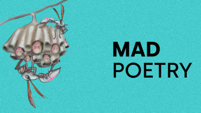 MAD Poetry | New Australian poetry, contemporary Australian writers ...