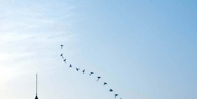 James' folk Songs | New Australian poetry, contemporary Australian ...